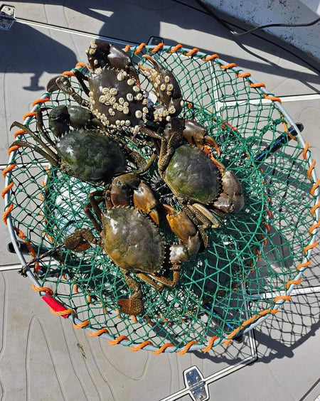 The Ultimate Guide to Crab and Lobster Pots – Ultimate Pro Crab Pots