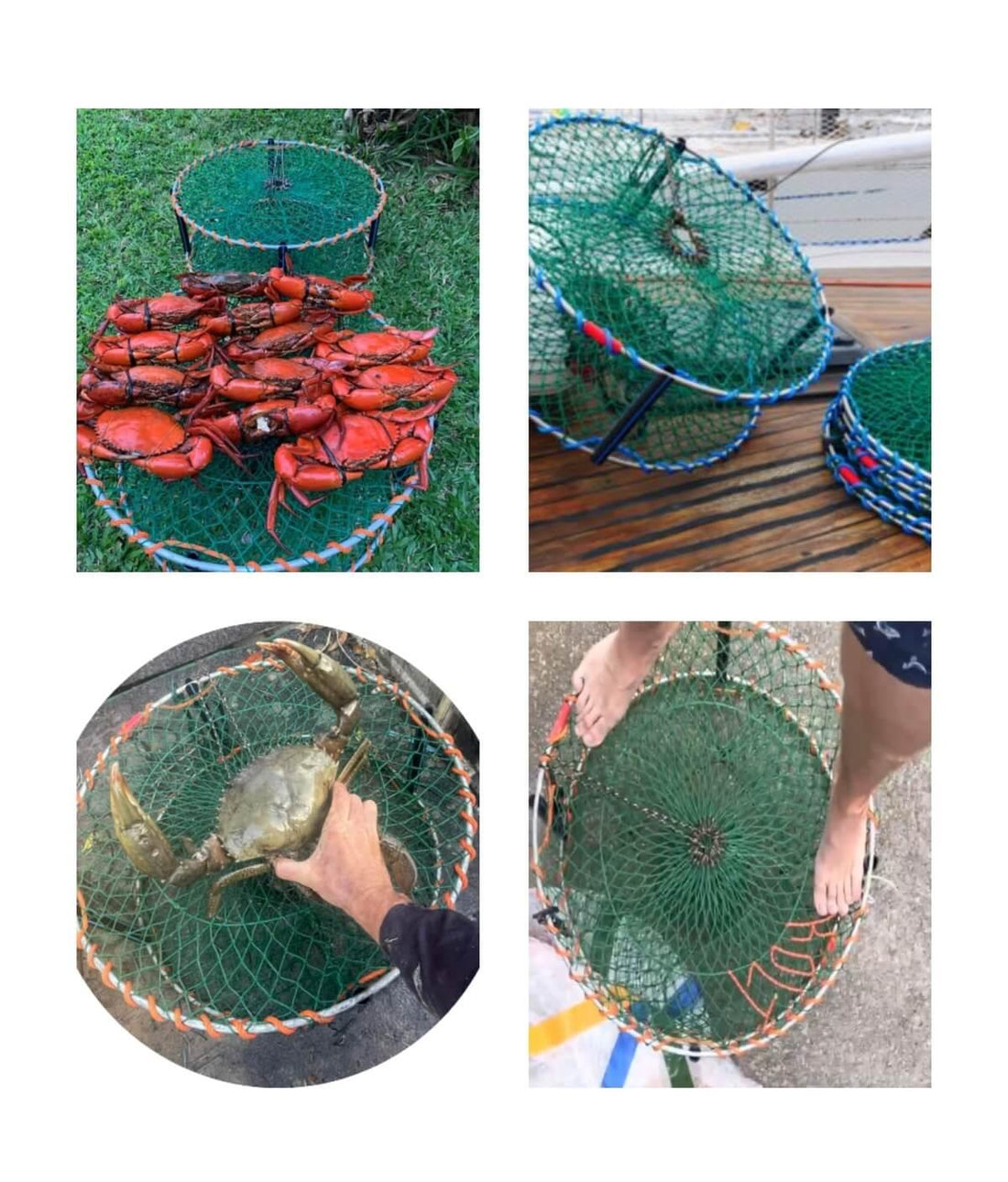 The Ultimate Guide to Crab and Lobster Pots – Ultimate Pro Crab Pots
