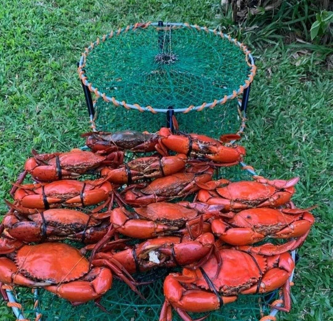 All Products – Ultimate Pro Crab Pots